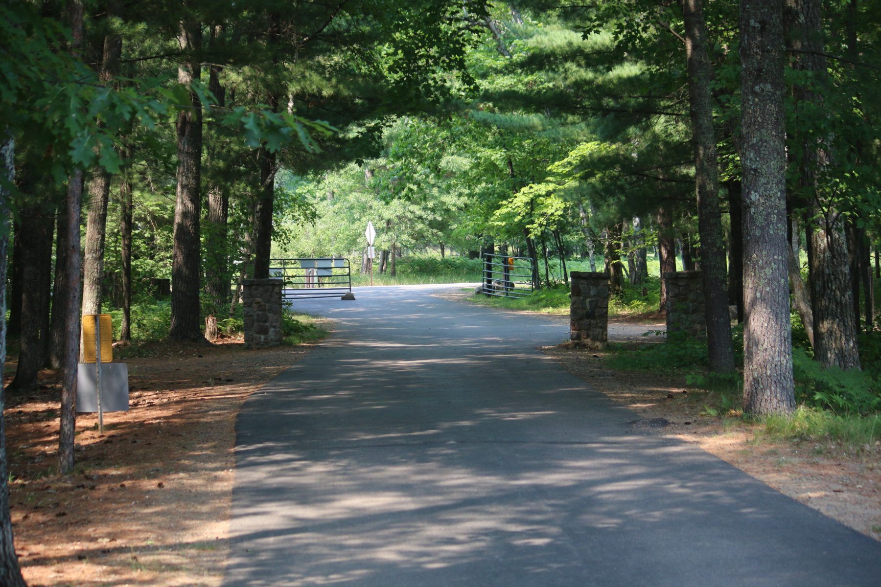 Camp Foley: The Best Co-Ed Minnesota Summer Camp