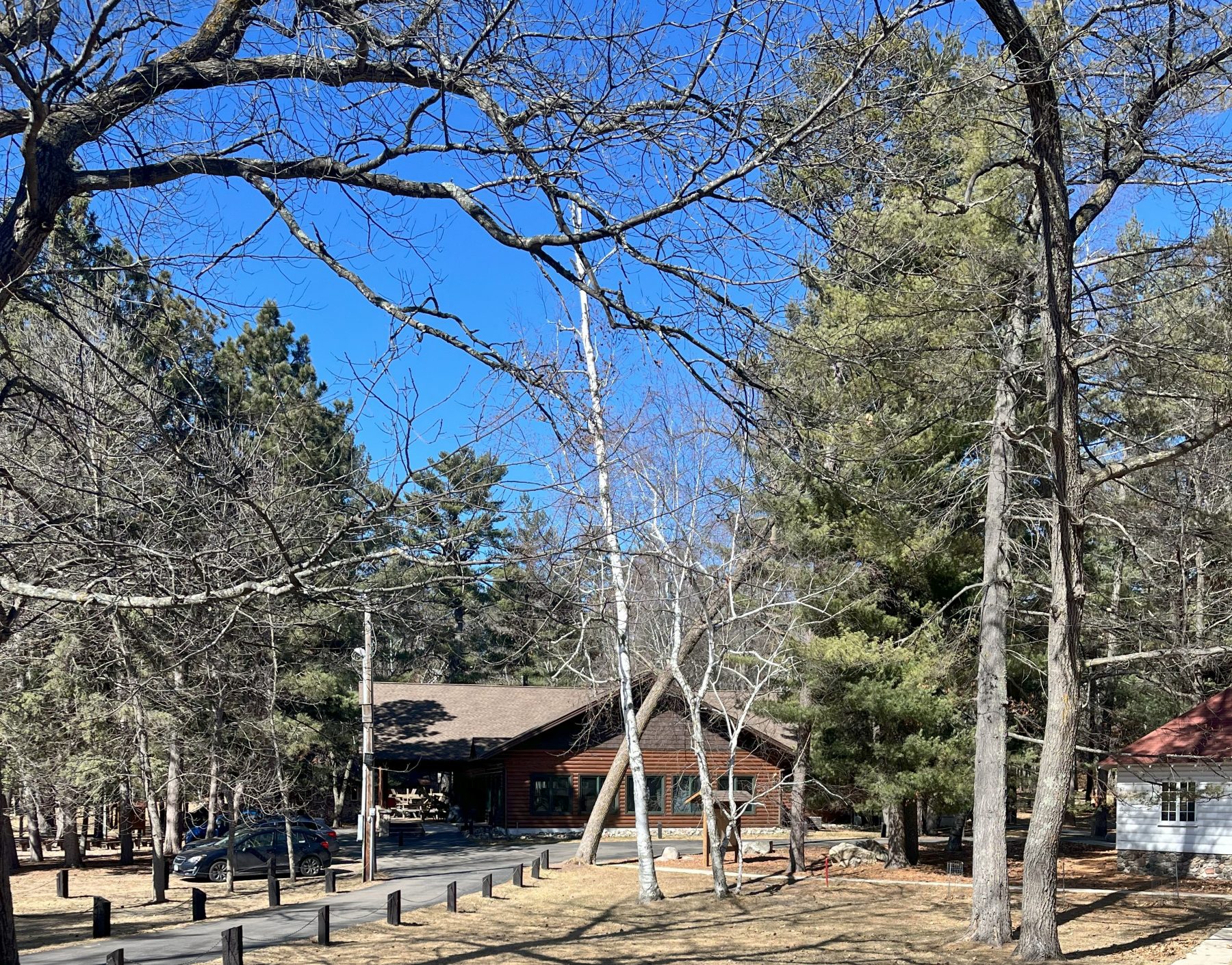 The Lost Winter of 2023-24 - Camp Foley, Minnesota: Summer Camp